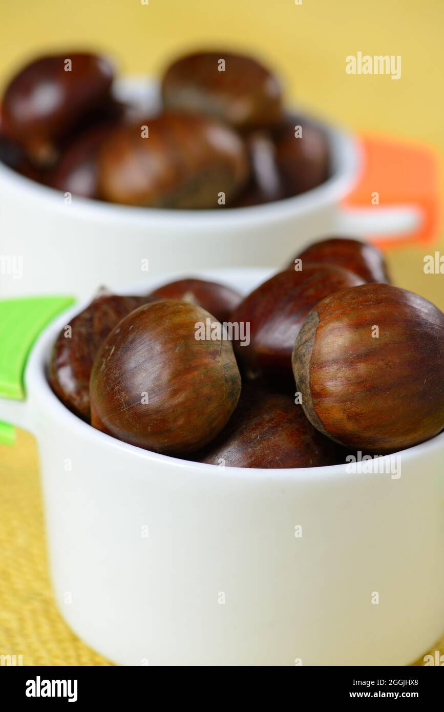 Portuguese chestnut hi-res stock photography and images - Alamy
