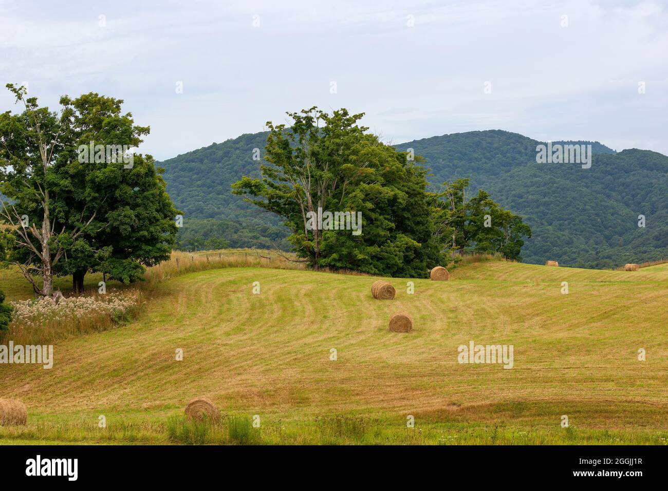 Garden rural hi-res stock photography and images - Alamy