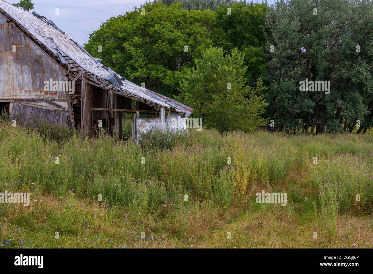 A decaying barn and neglected land in rural Virginia, USA Stock Photo ...