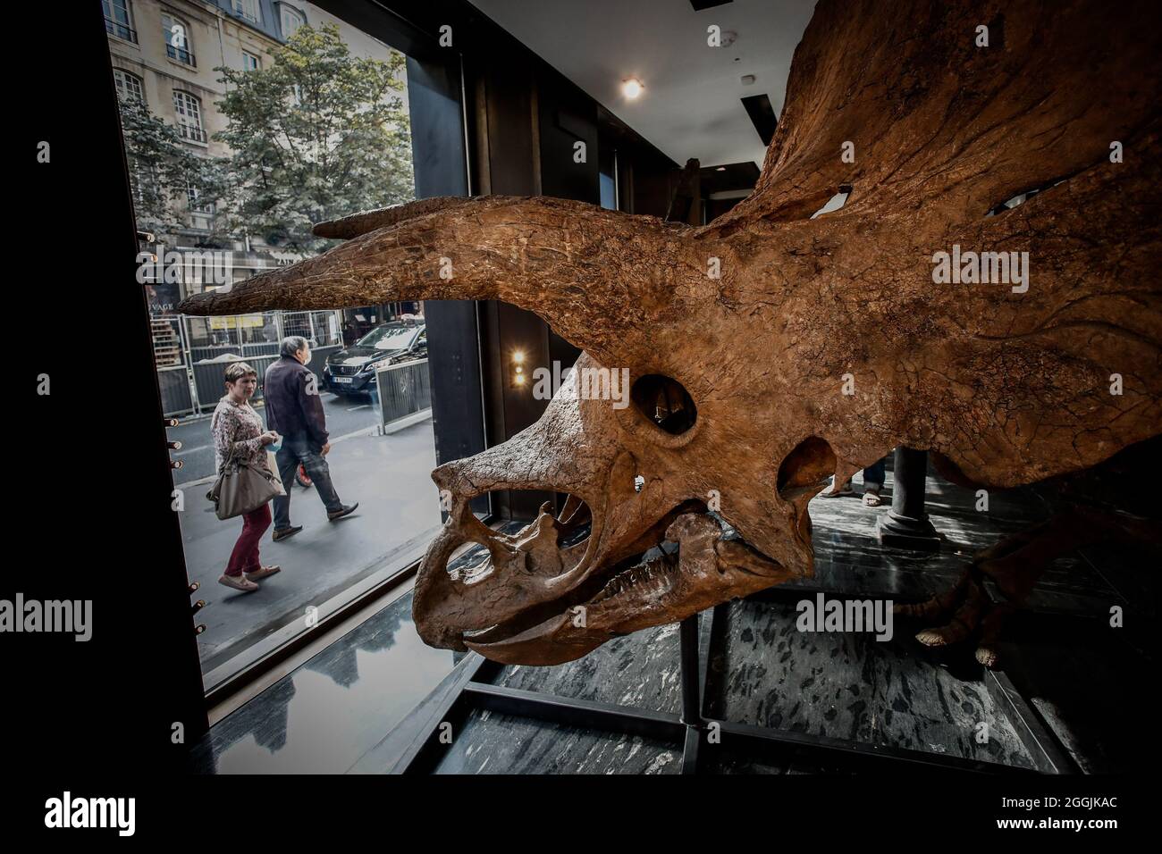 8 meter long hi-res stock photography and images - Alamy