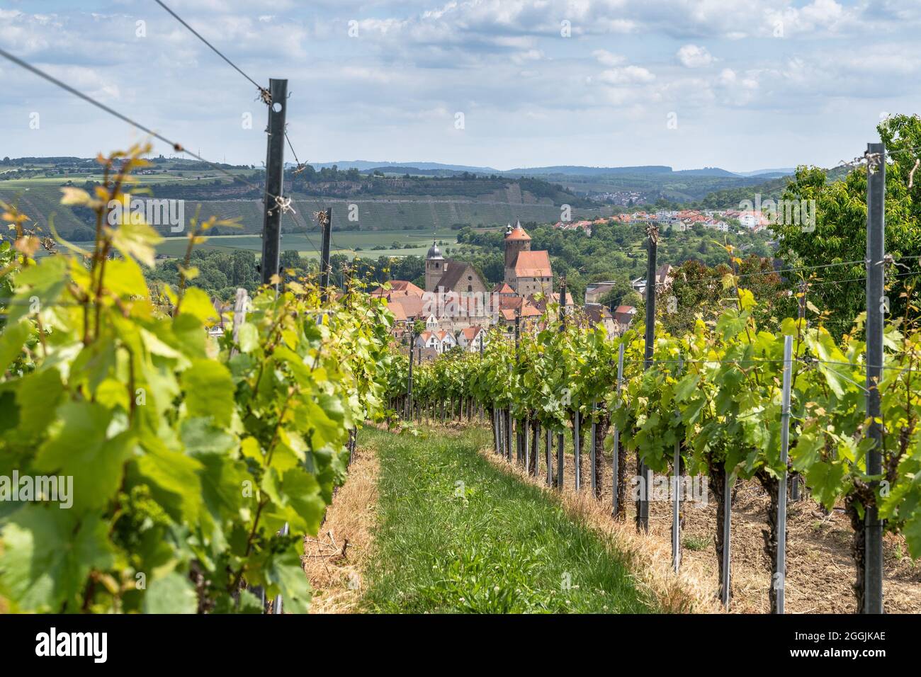 Europe, Germany, Baden-Wuerttemberg, Neckar Valley, Besigheim, view ...