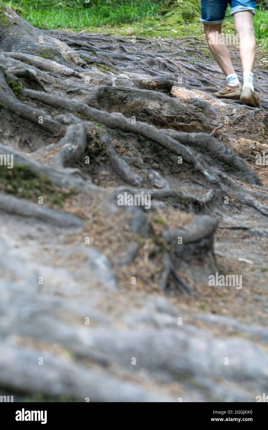 Europe, Germany, Baden-Wuerttemberg, Swabian Forest, Murrhardt, hikers ...