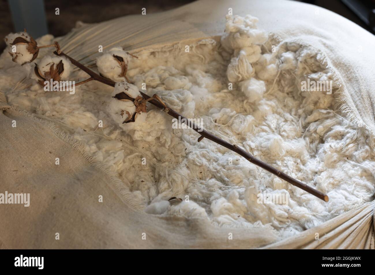 Cotton sack hi-res stock photography and images - Alamy