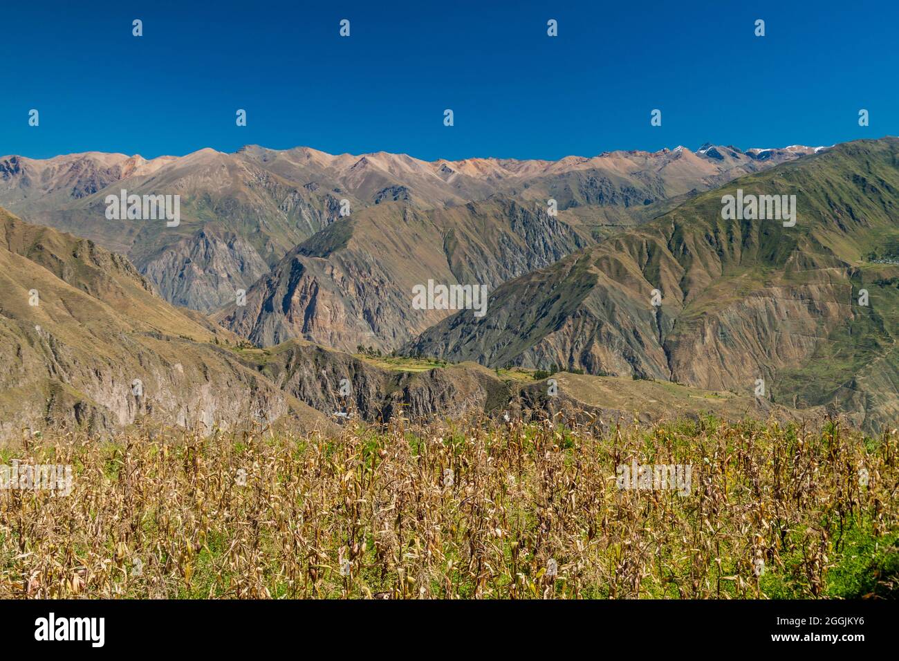Field peru hi-res stock photography and images - Alamy