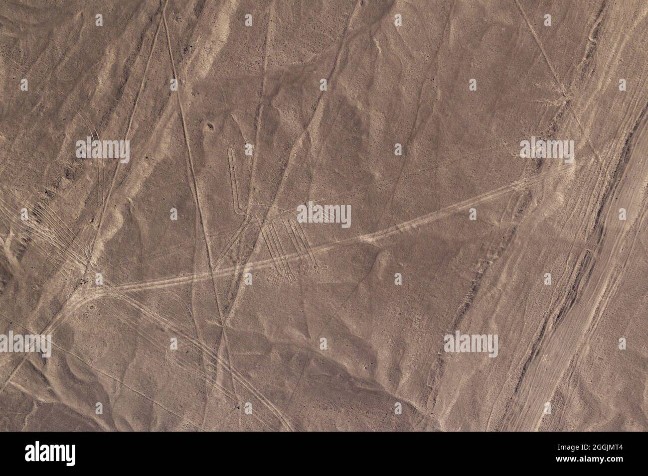 Aerial view of geoglyphs near Nazca - famous Nazca Lines, Peru. In the ...
