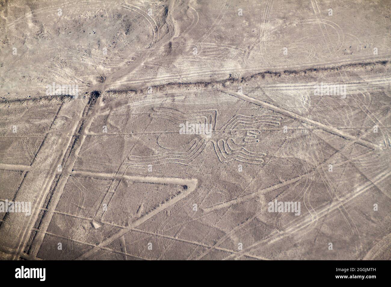 Aerial view of geoglyphs near Nazca - famous Nazca Lines, Peru. In the ...