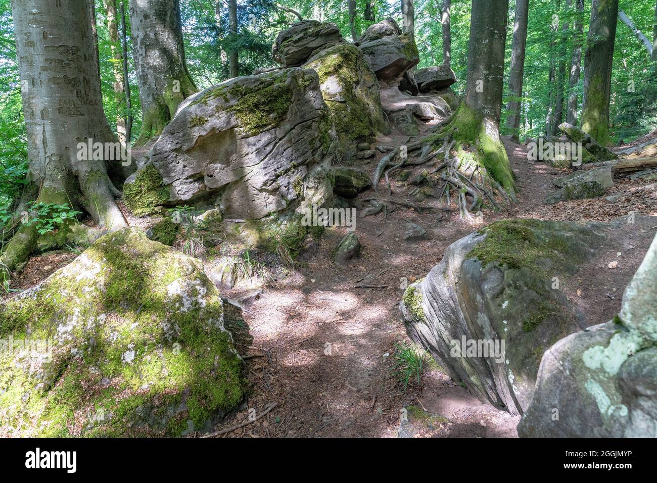 Europe, Germany, Baden-Wuerttemberg, Rems-Murr-Kreis, Murrhardt ...