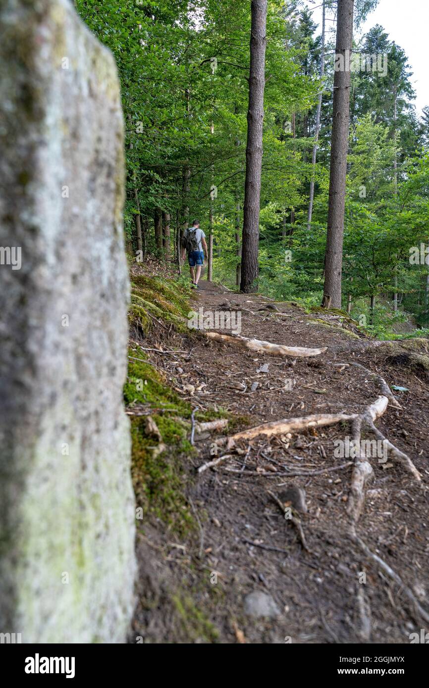 Europe, Germany, Baden-Wuerttemberg, Rems-Murr-Kreis, Murrhardt, hikers ...