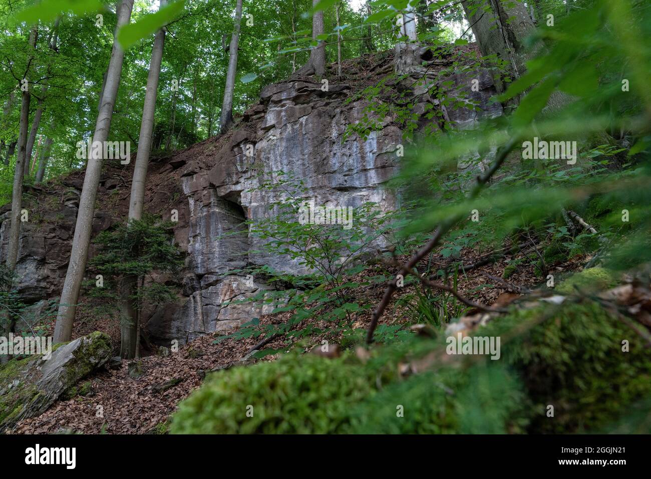 Europe, Germany, Baden-Wuerttemberg, Rems-Murr-Kreis, Murrhardt ...