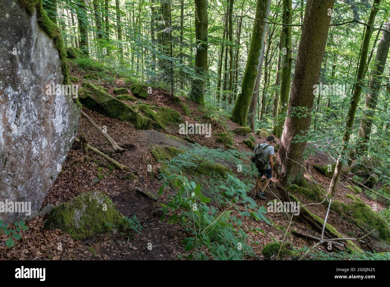 Europe, Germany, Baden-Wuerttemberg, Rems-Murr-Kreis, Murrhardt ...