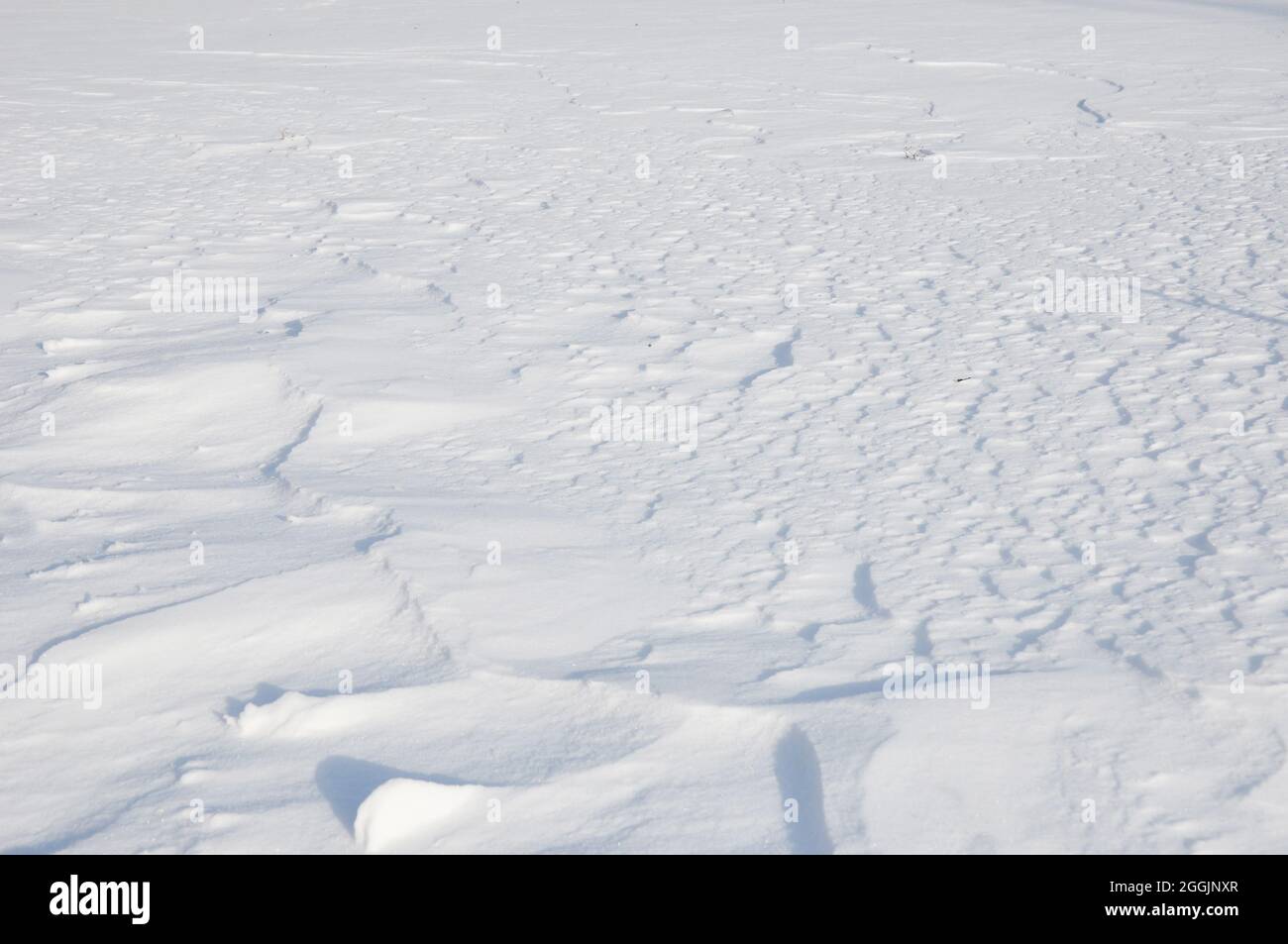 Snow Textured Background Stock Photo - Alamy