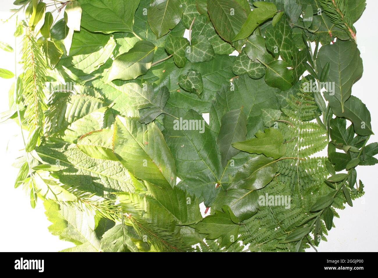 Natural door decoration hi-res stock photography and images - Alamy