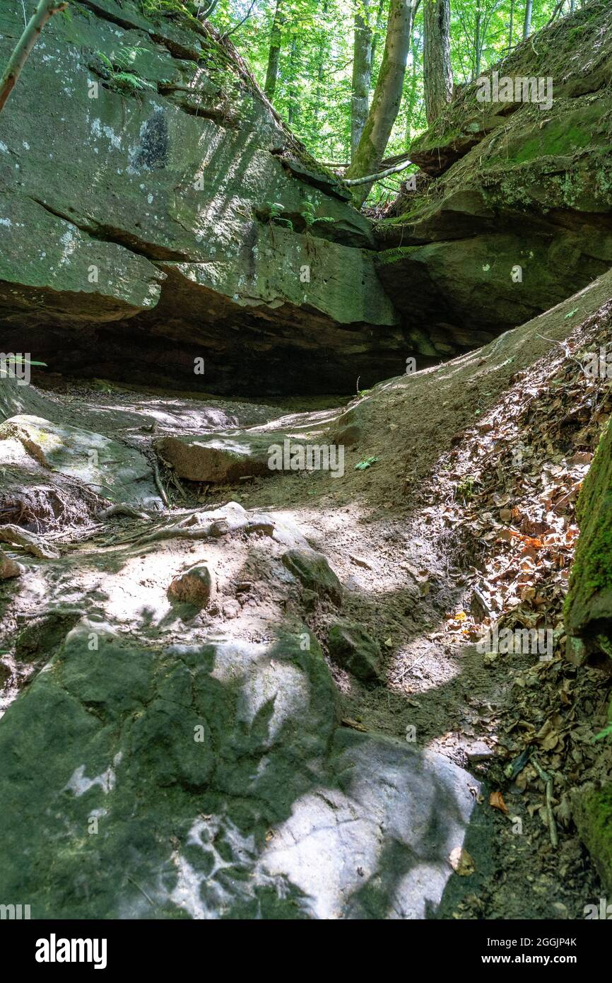 Bodenbach hi-res stock photography and images - Alamy