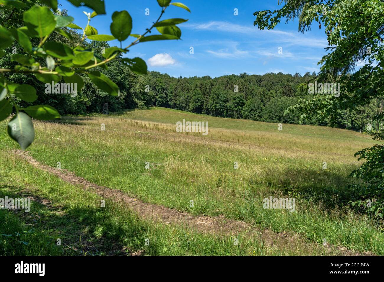 Bodenbach hi-res stock photography and images - Alamy