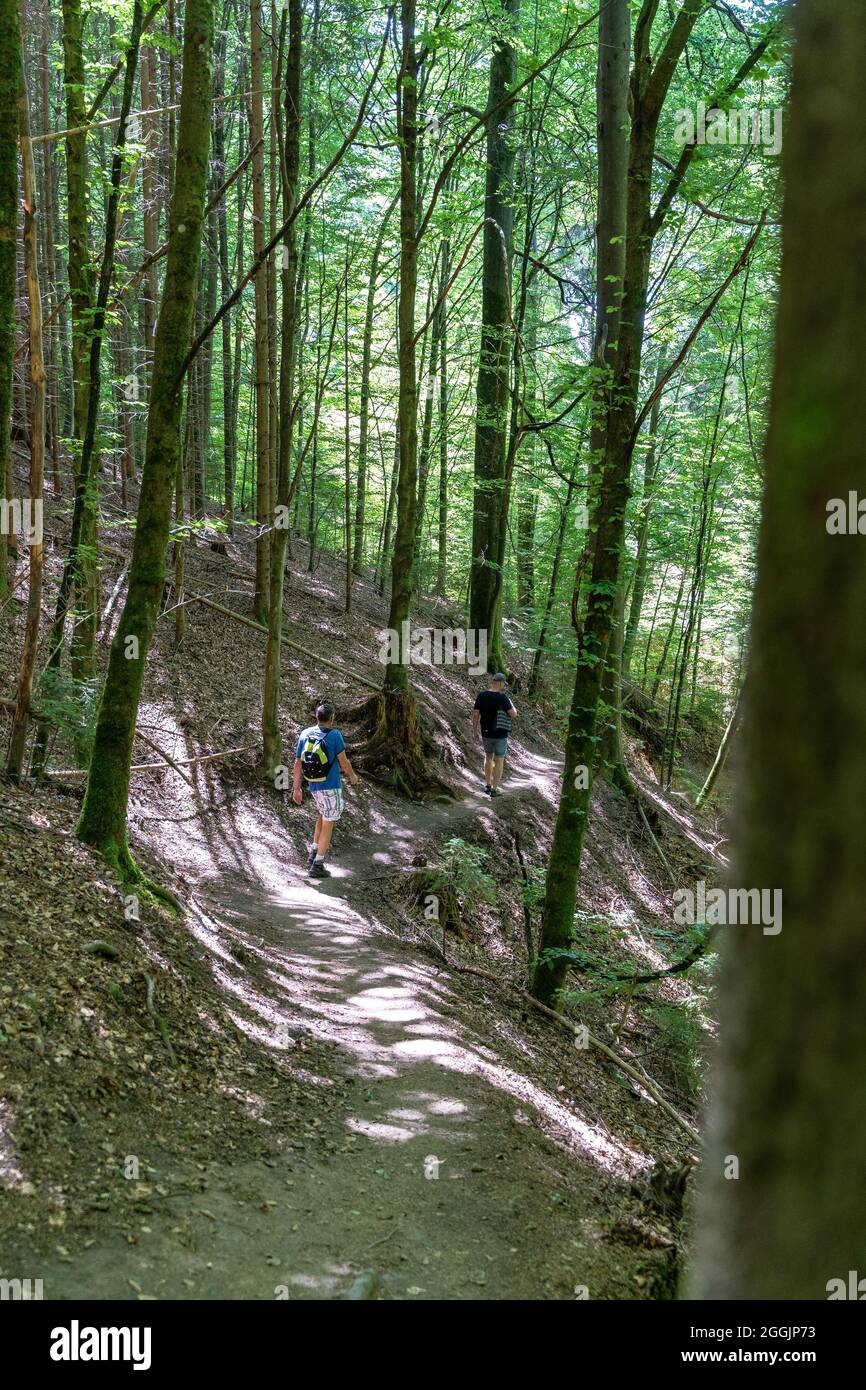 Europe, Germany, Baden-Wuerttemberg, Swabian-Franconian Forest ...
