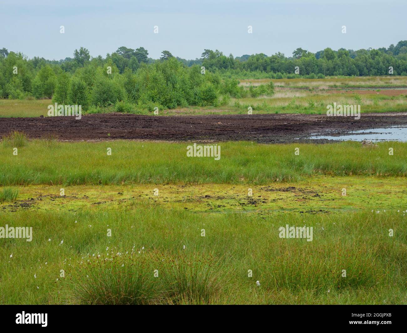 Venner High Resolution Stock Photography and Images - Alamy