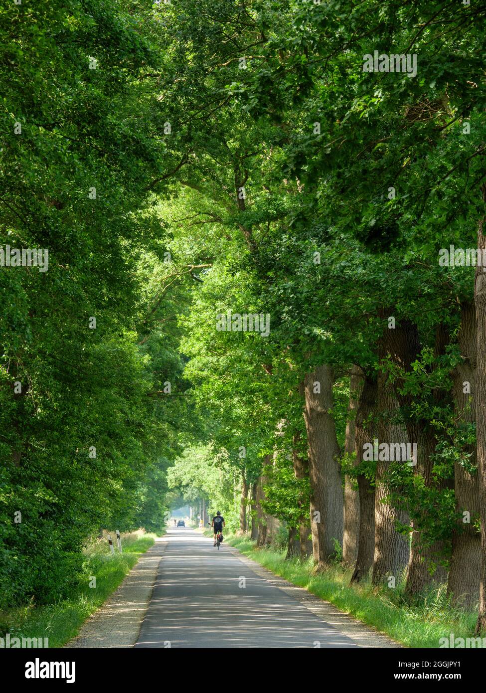 Venne hi-res stock photography and images - Alamy