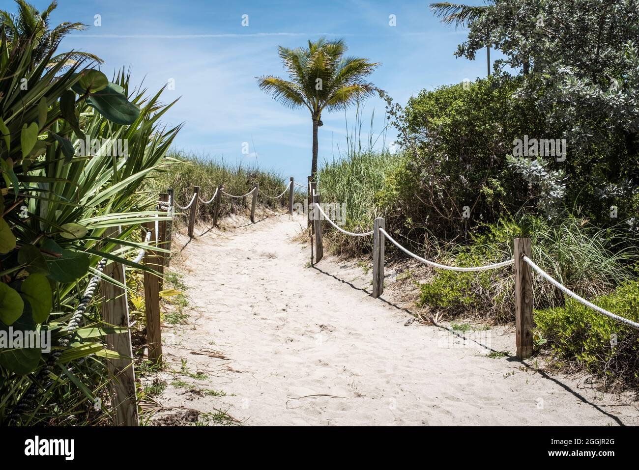 Walkway to South Beach, Miami Beach, Florida, USA Stock Photo - Alamy