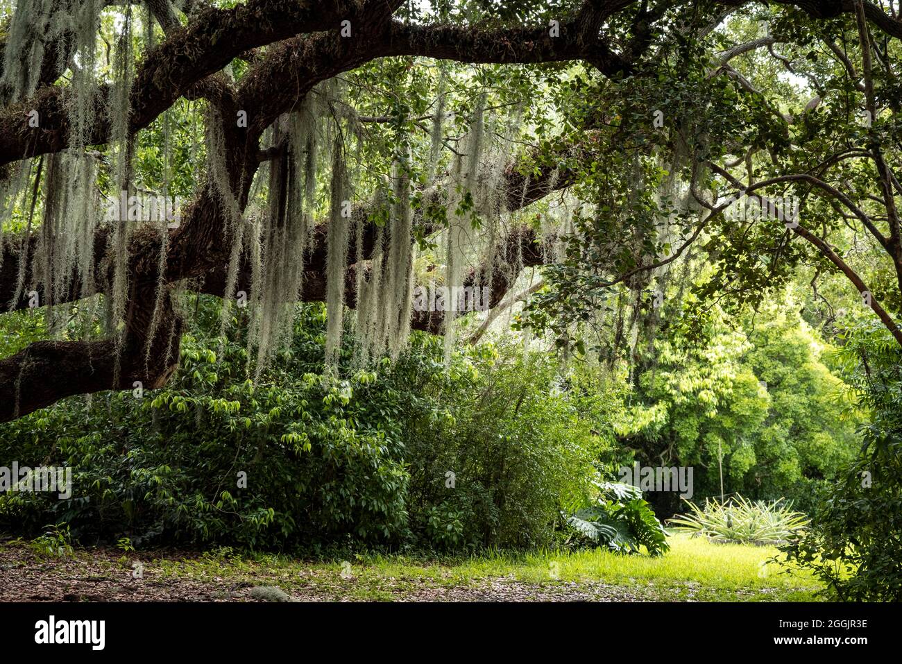 The Barnacle Historic State Park, Ralph M. Munroe's House, Coconut ...