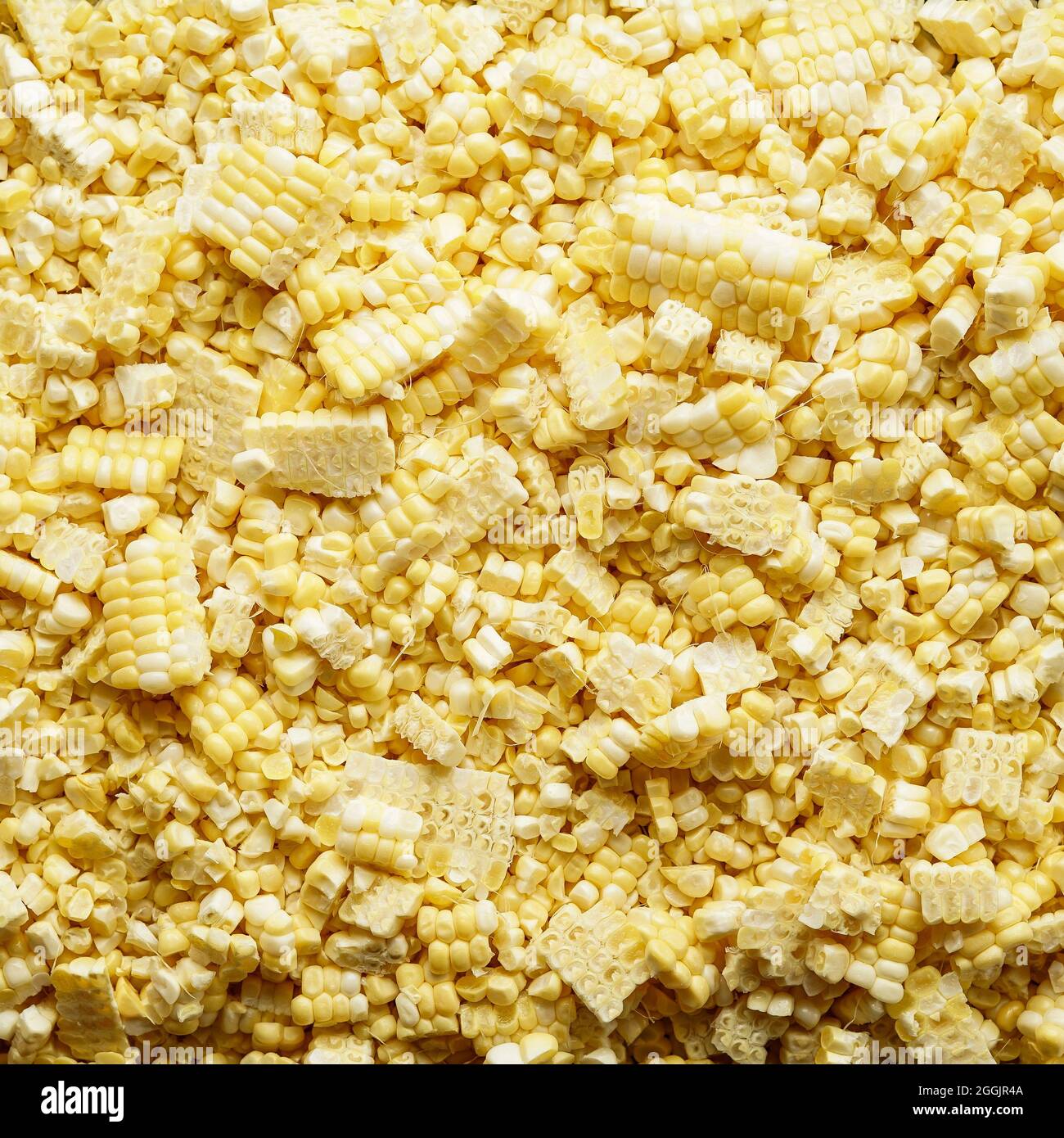 Bicolor corn hi-res stock photography and images - Alamy