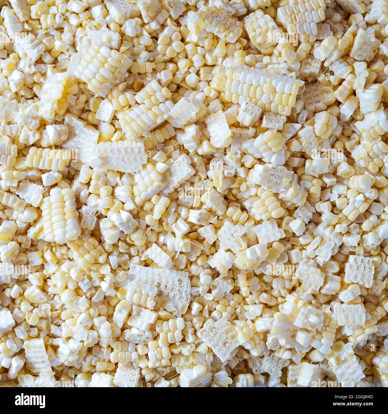 Bicolor corn hi-res stock photography and images - Alamy