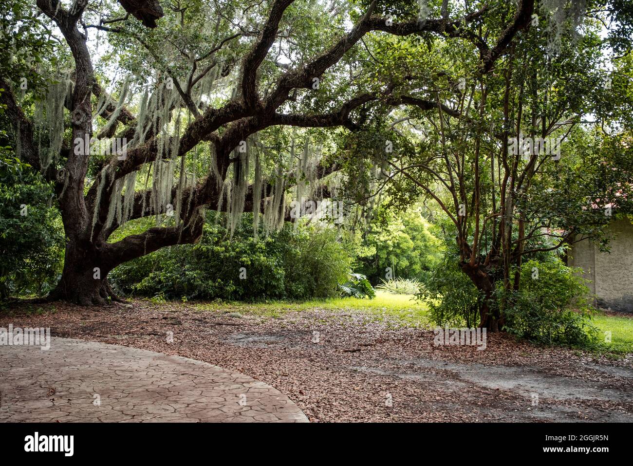 The Barnacle Historic State Park, Ralph M. Munroe's House, Coconut Groove, Miami, Florida Stock ...