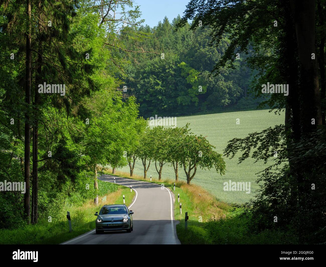 Lower saxony germany forest hi-res stock photography and images - Alamy