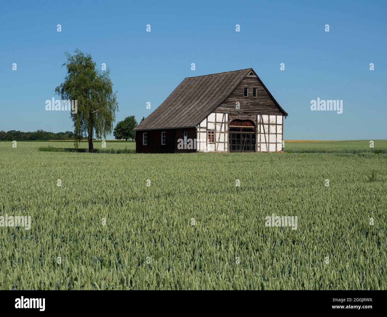 Field with half-timbered barn, Teutoburg Forest, Osnabruecker Land ...