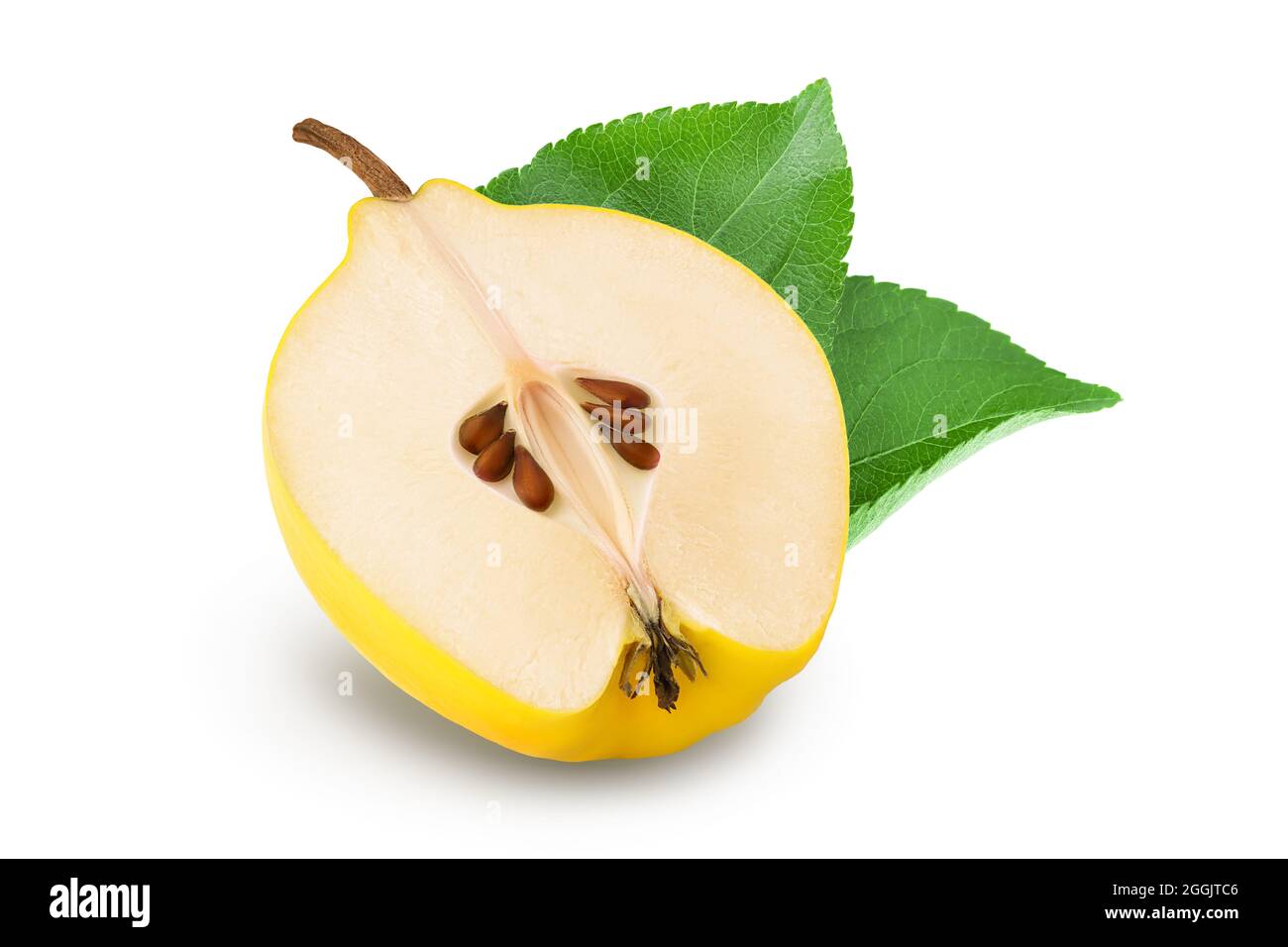 Fresh quince half isolated on the white background with clipping path ...
