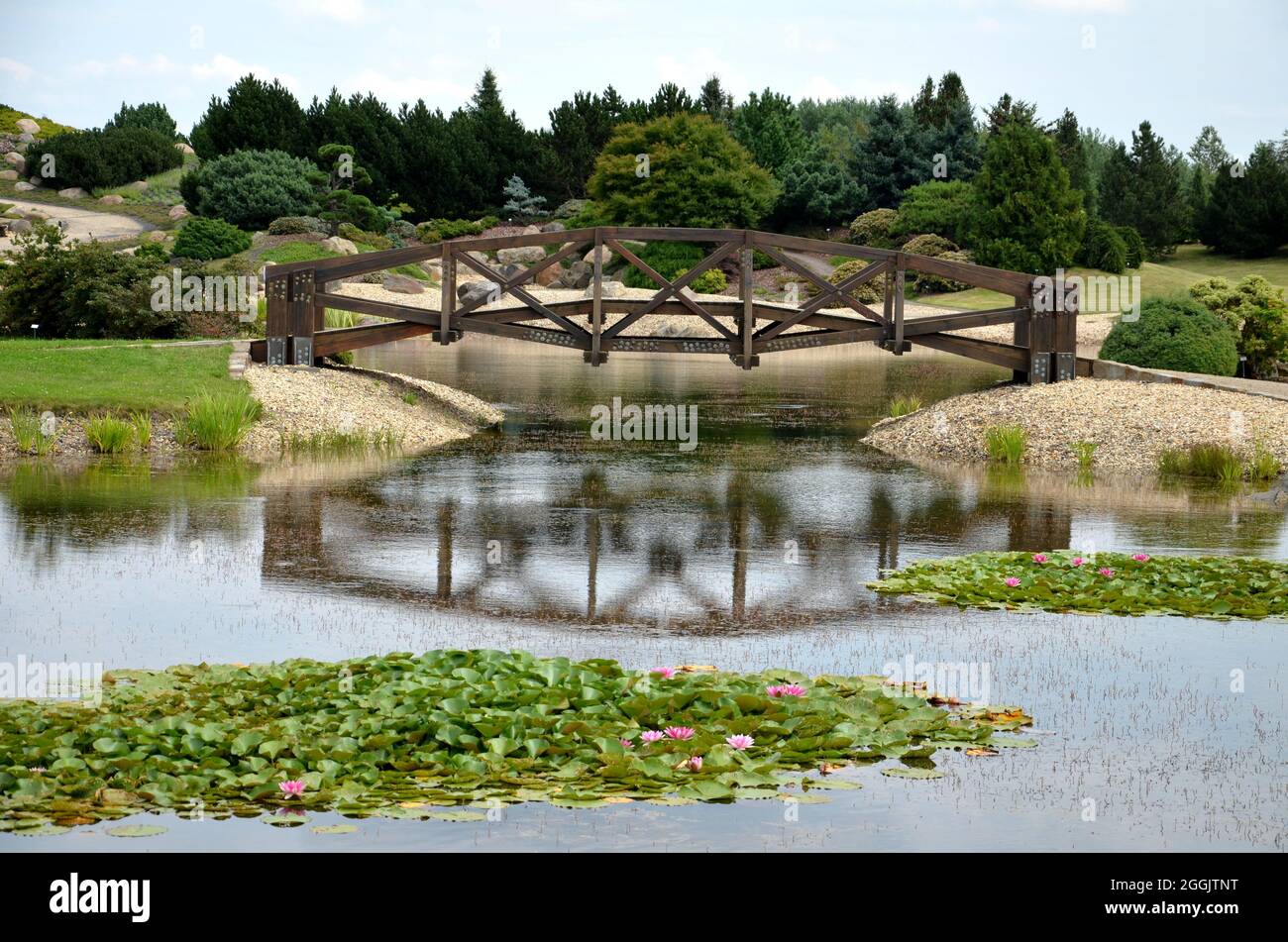 wooden bridge over awater lily pond and beatiful landscape in the ...