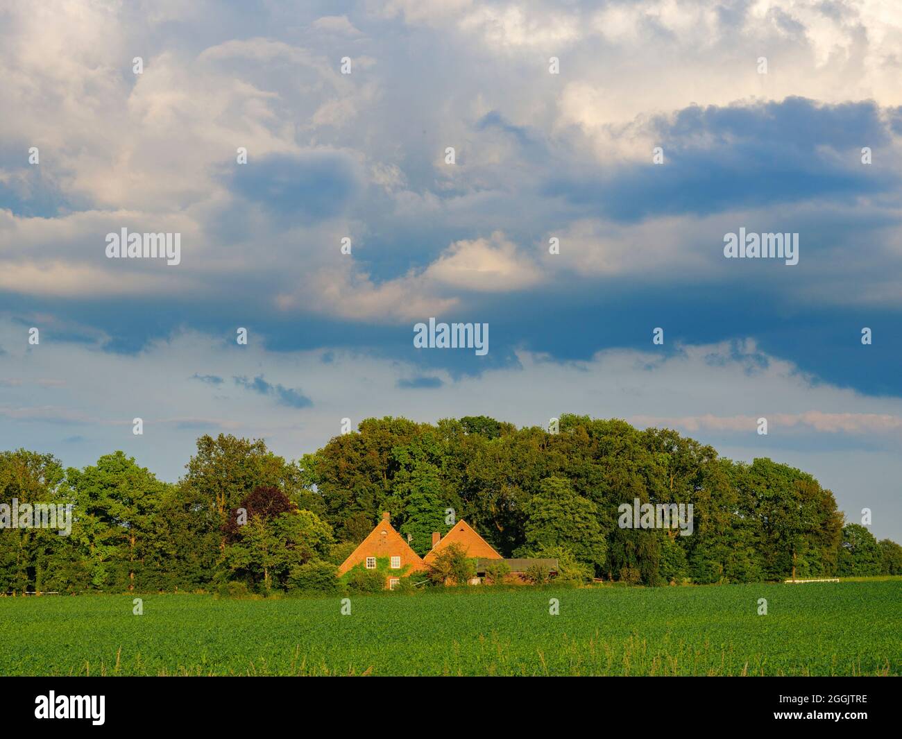 Landscape germany summertime hi-res stock photography and images - Alamy