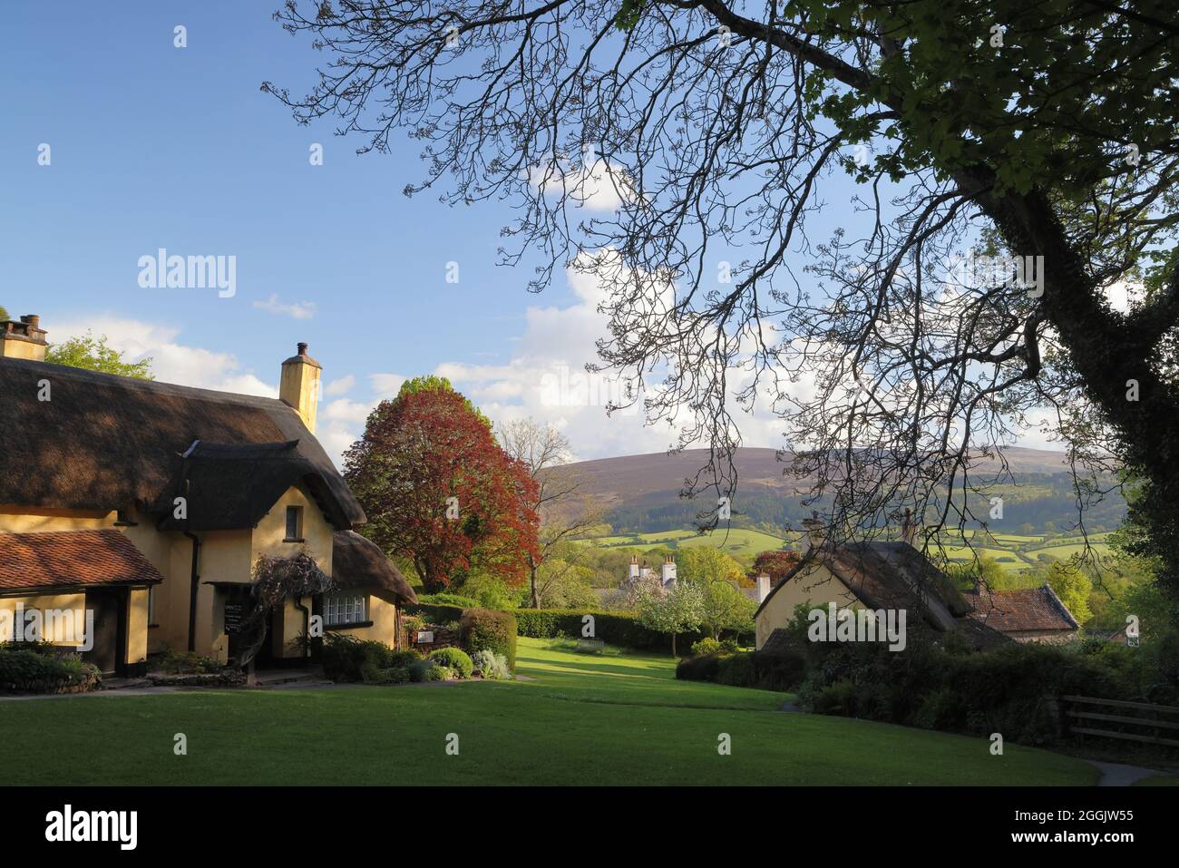 Selworthy village, Exmoor National Park, Somerset, England, UK Stock ...