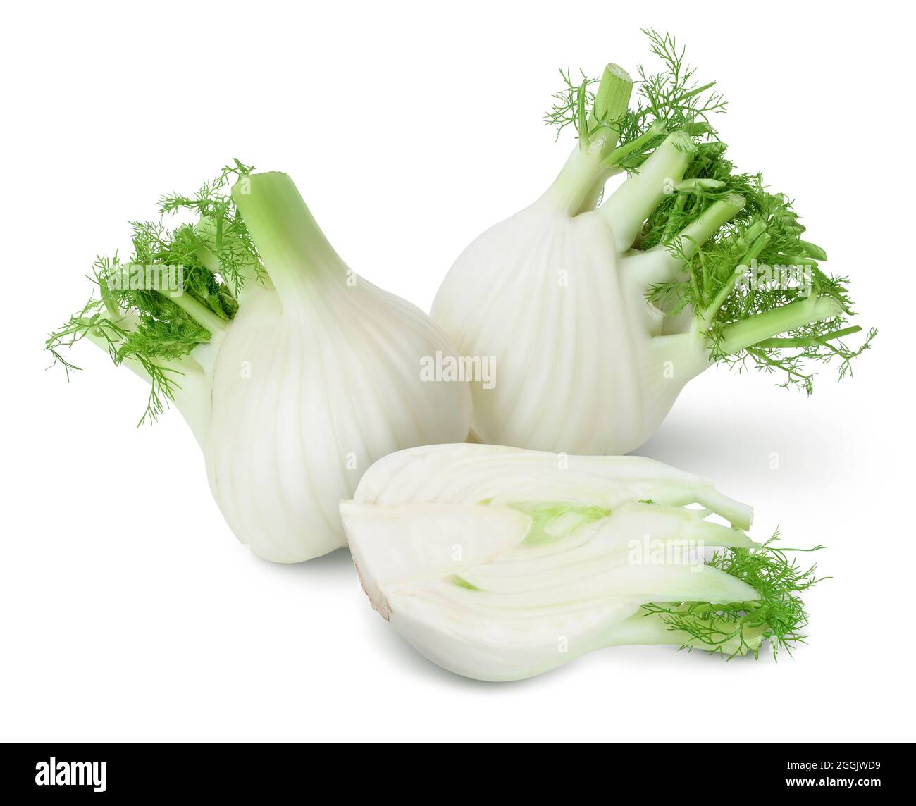 fresh fennel bulb with half isolated on white background with full ...