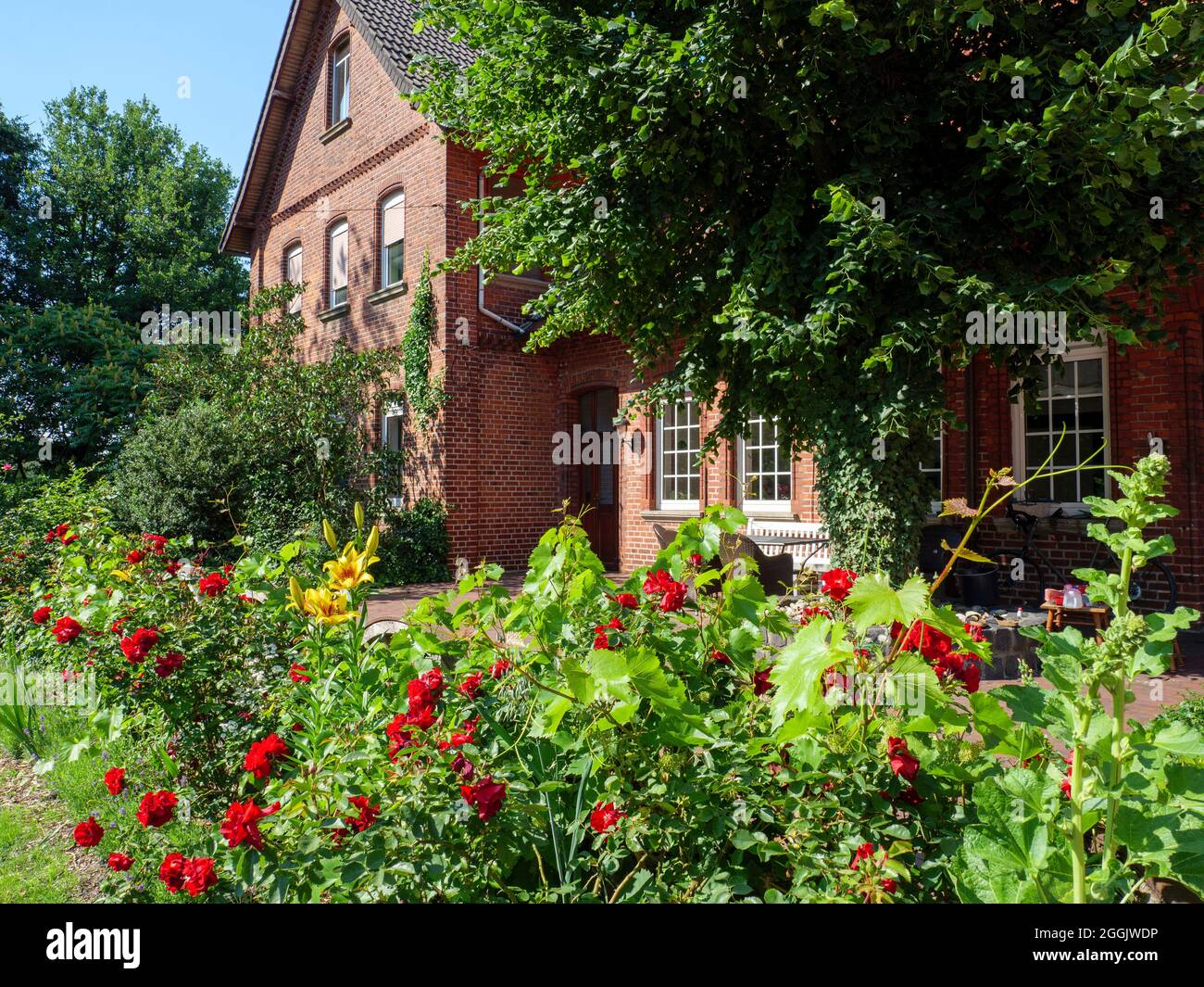 Horstmann hi-res stock photography and images - Alamy