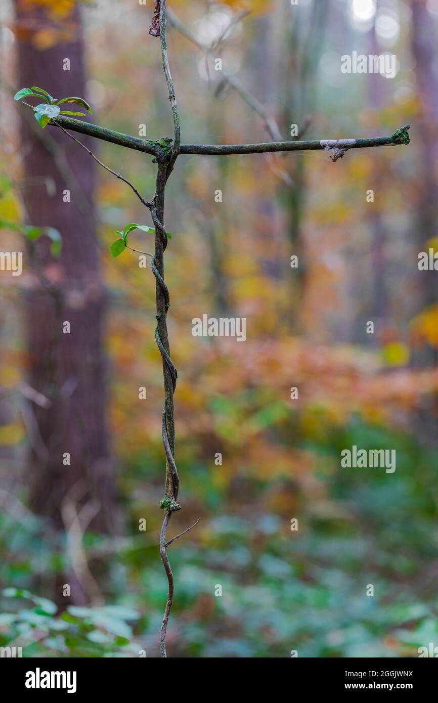 Cross made of natural materials, blessed walk Stock Photo - Alamy