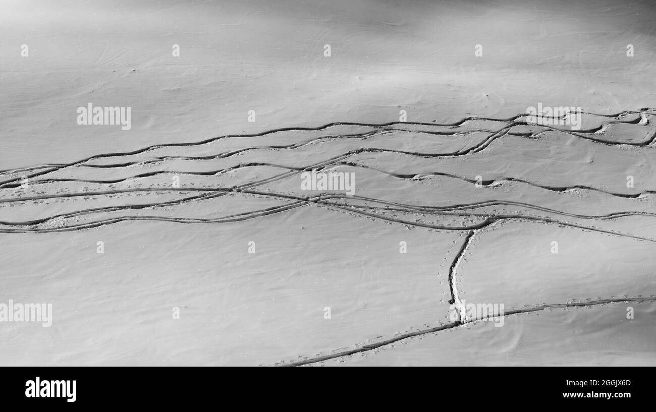 Walker with skis hi-res stock photography and images - Alamy