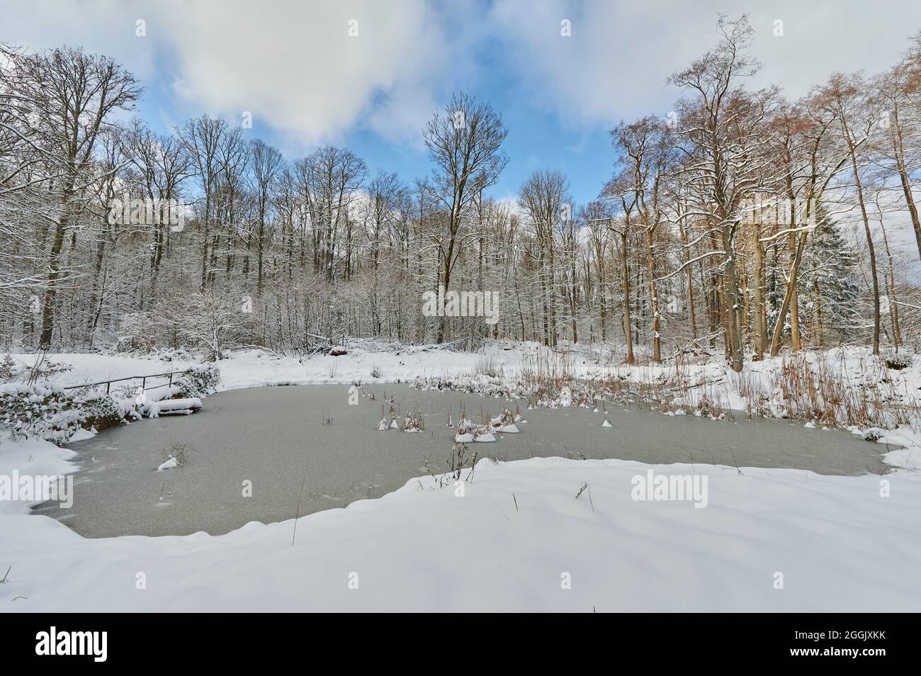 Forest lake, snow, winter, Torhaus Aurora, Bischbrunn, Spessart ...
