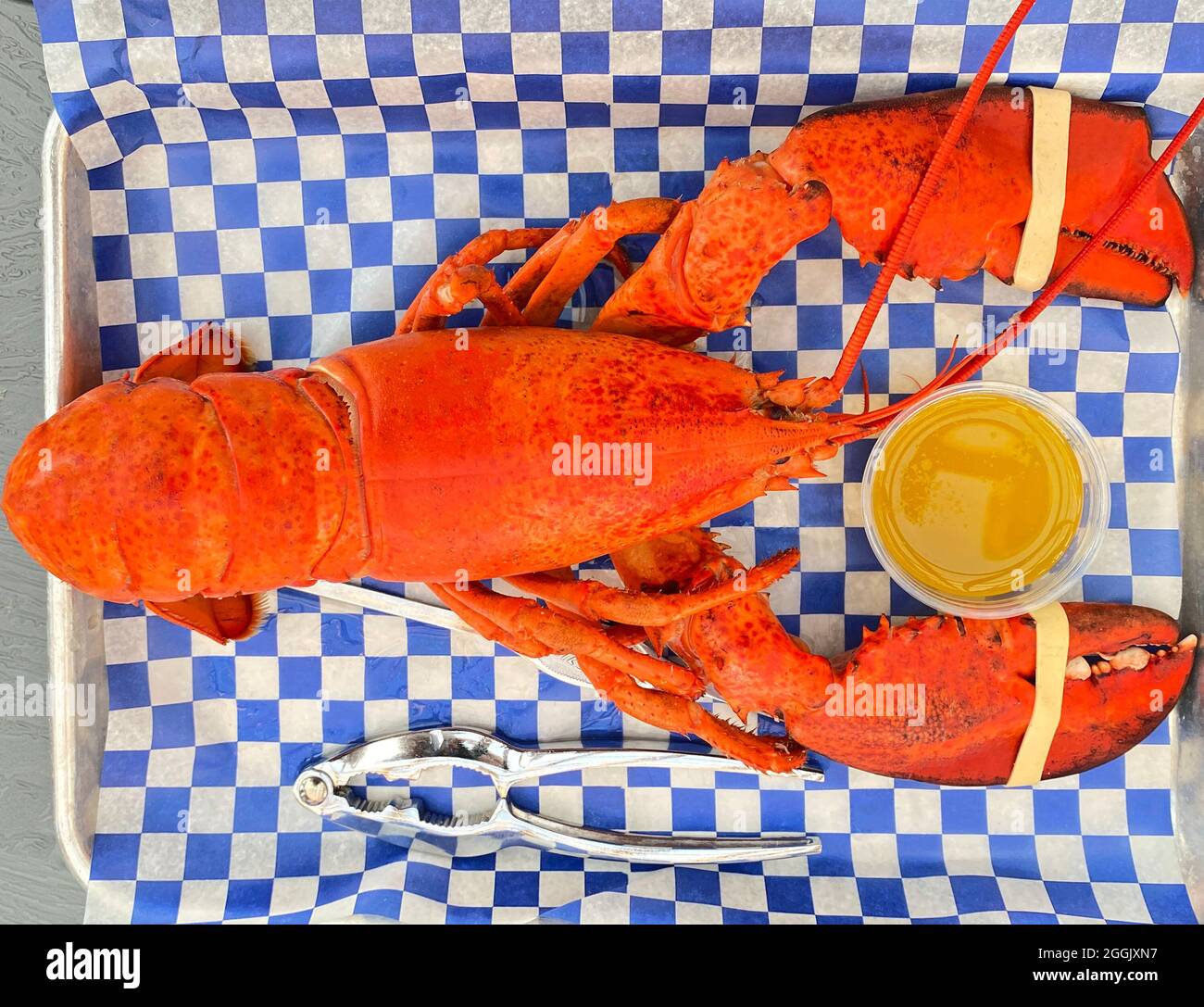Delicious freshly lobster ready to eat, New Brunswick, Canada Stock ...