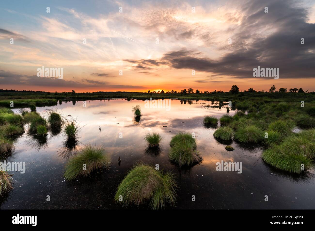 High fens hi-res stock photography and images - Alamy