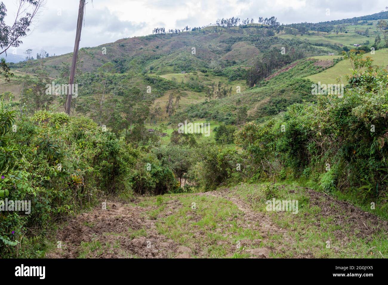 Countryside in cloud forest mountains around Leymebamba, northern Peru ...