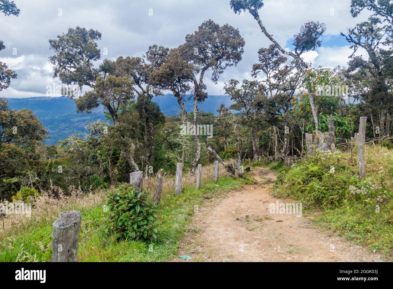 Rural landscape near Leymebamba village in northern Peru Stock Photo ...