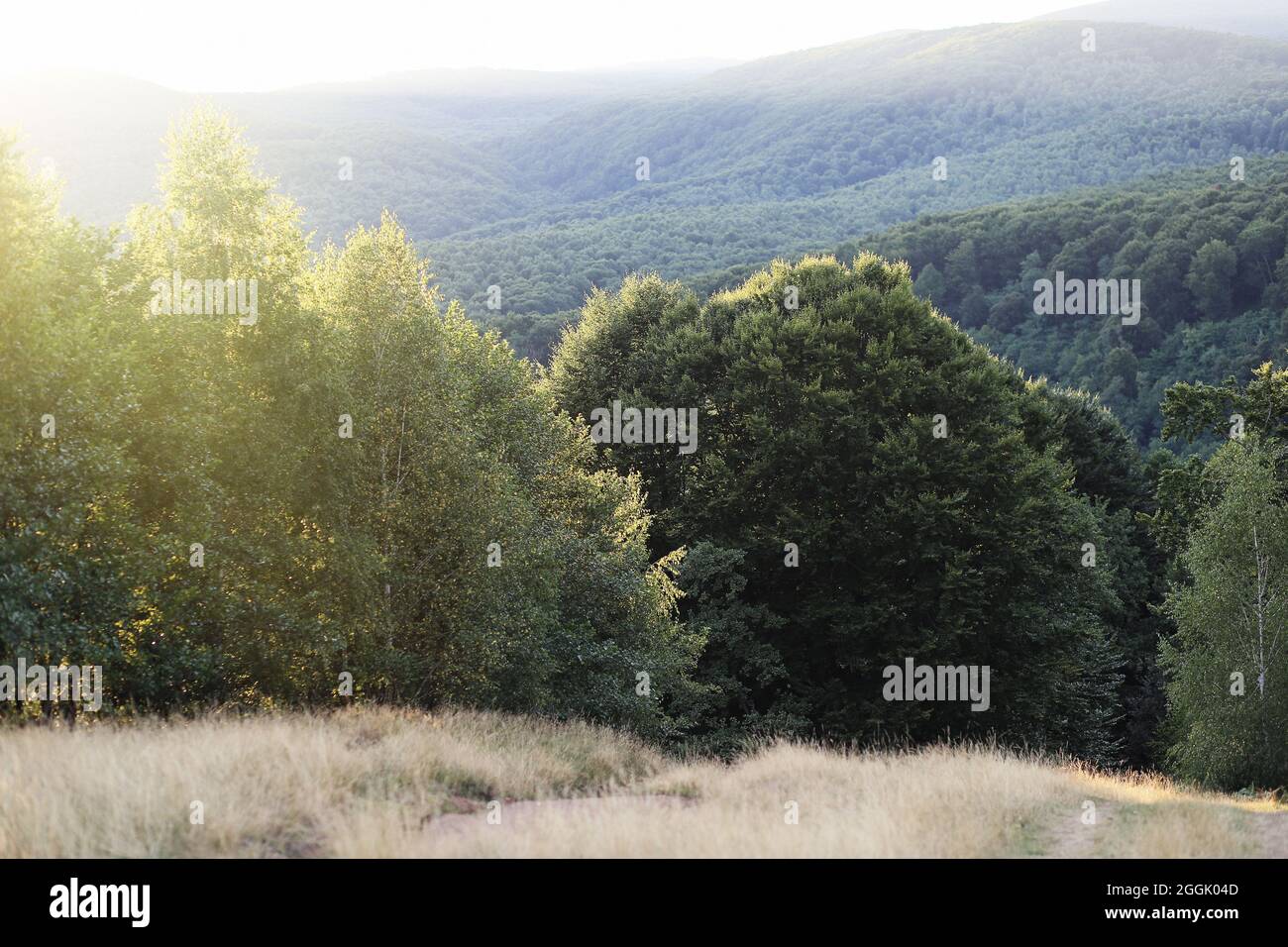 Peaceful relaxing mountain view. Carpathian mountains at the sunset ...