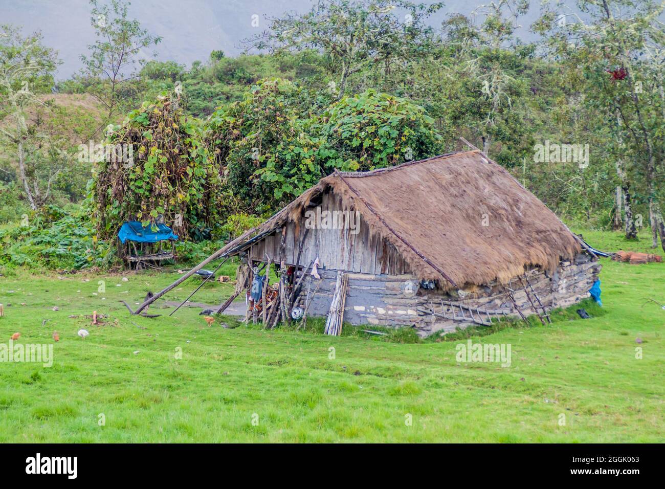 Northern peruvian farm hi-res stock photography and images - Alamy