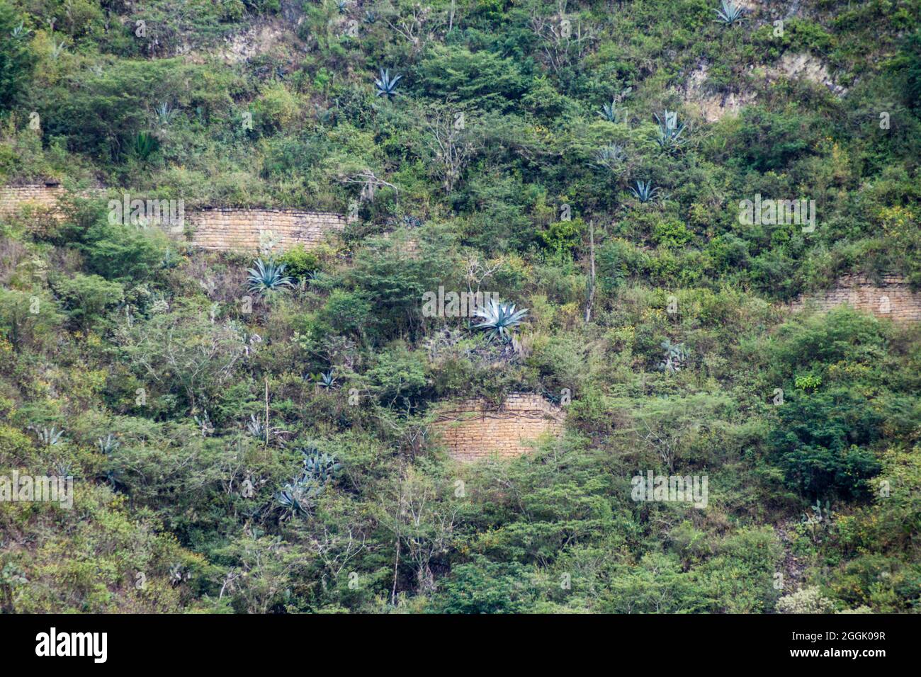 Ruins of Macro, group of pre-Inca dwellings and burial chambers built ...