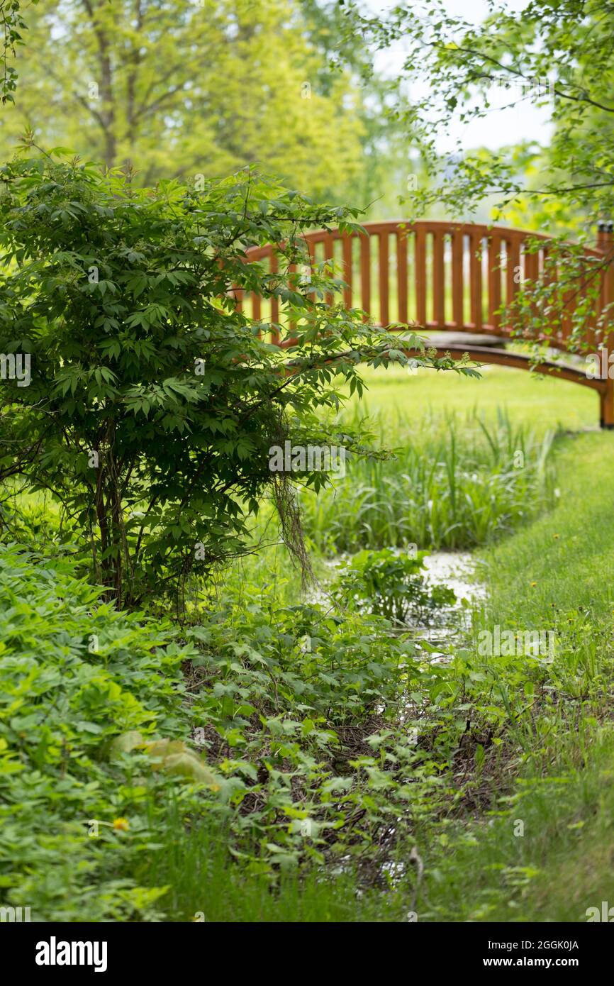 Beautiful spring garden scene hi-res stock photography and images - Alamy