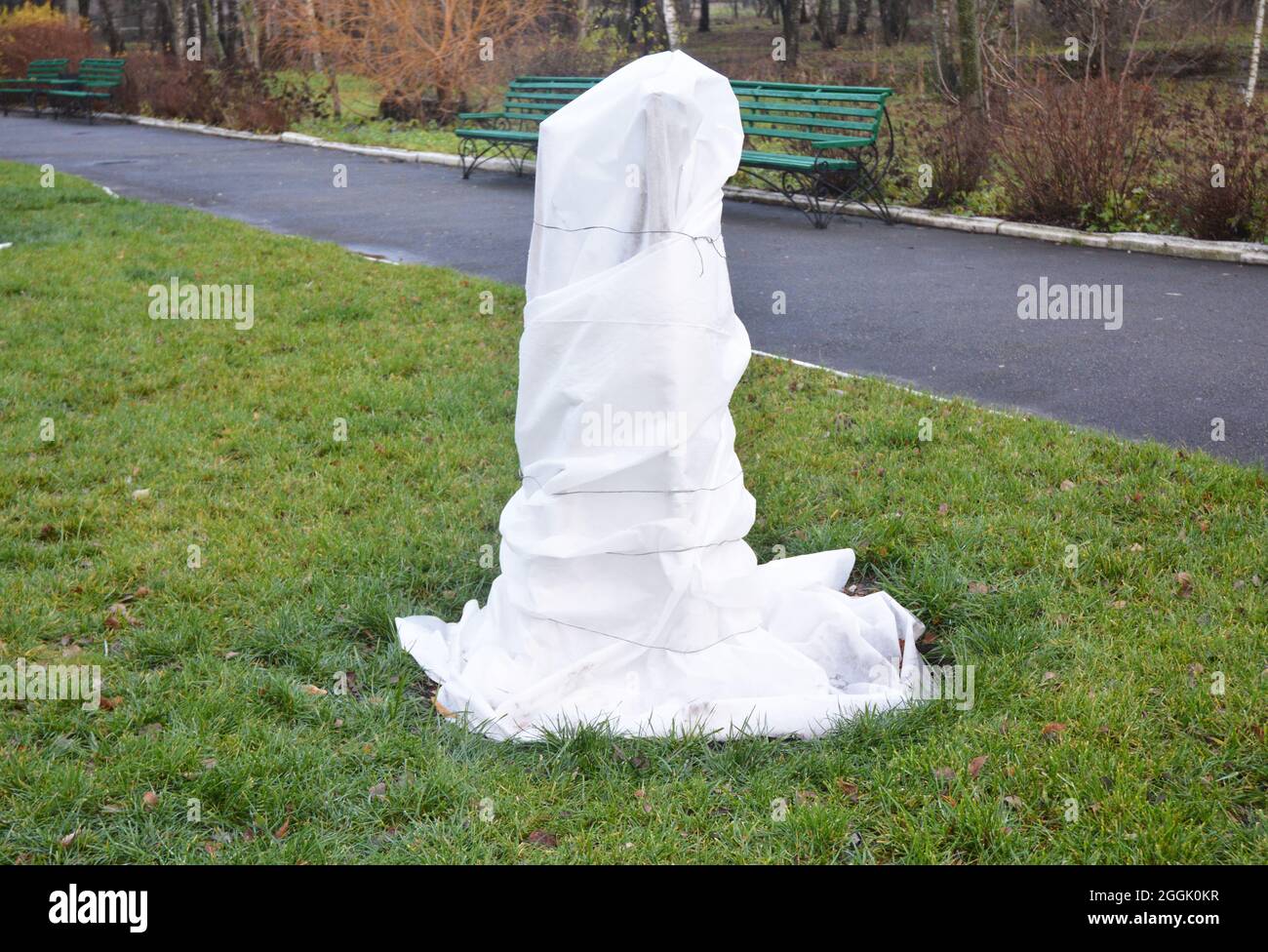 Warm shelter tree for winter protection in the garden Stock Photo - Alamy