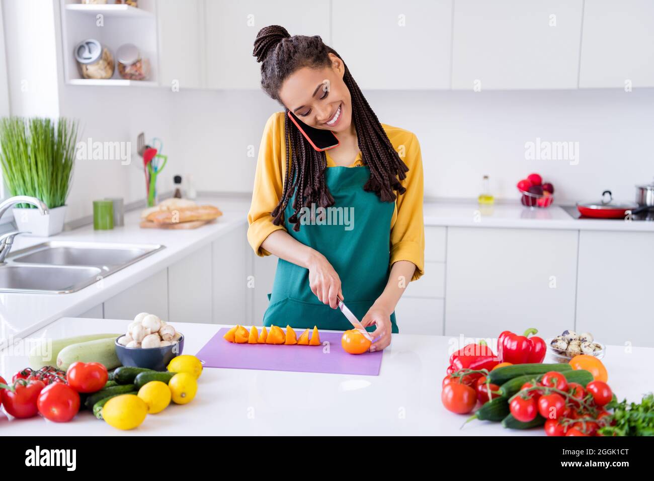 Photo of adorable pretty dark skin woman dressed yellow shirt braids ...