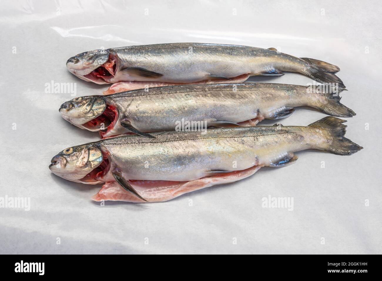 Fish lake as trio hi-res stock photography and images - Alamy