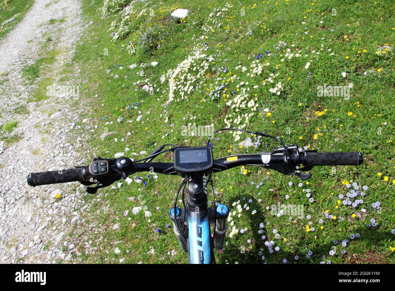 E-bike in alpine flower meadow, handlebars with display, white silver arum (Dryas octopetala ...