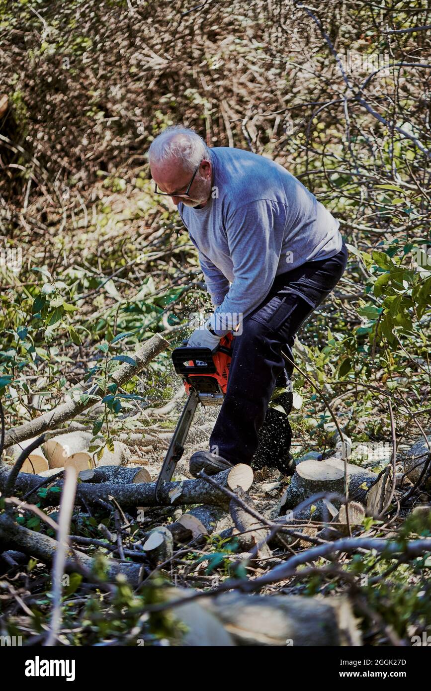Old man forest hi-res stock photography and images - Alamy